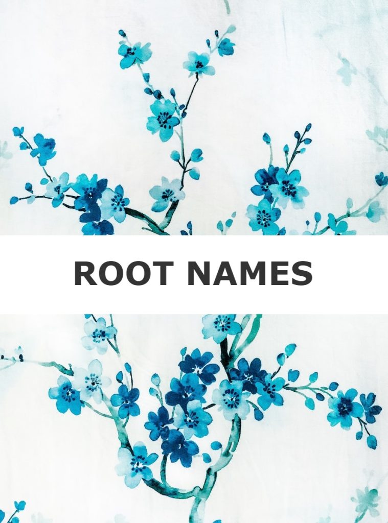 The World of Given Names: Top 10 Root Names and Their Many Variations ...